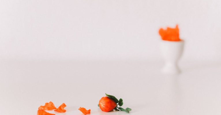 Fleur tête de chat : tout savoir sur cette plante intrigante – Boutique ...